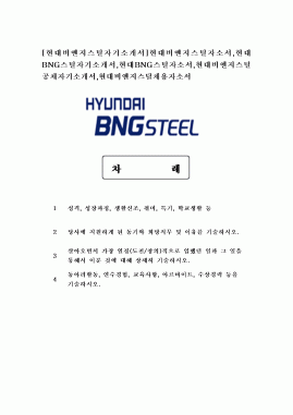 [현대비앤지스틸 자기소개서] 현대비앤지스틸 자소서,현대BNG스틸자기소개서,현대BNG스틸자소서,현대비엔지스틸공채자기소개서,현대비앤지스틸채용자소서-1페이지