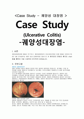 [성인간호학][Ulcerative Colitis][궤양성대장염]문헌고찰, 케이스 스터디(Case Study)-1페이지