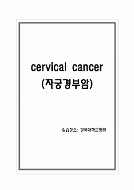 [모성간호학][자궁경부암][cervical cancer] 케이스 스터디(Case Study), 문헌고찰-1페이지