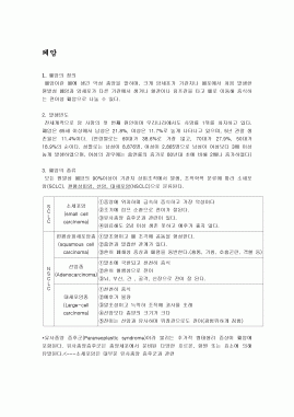 [성인간호학][Lung cancer][폐암] 문헌고찰-1페이지