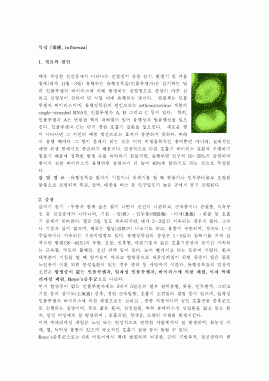 독감-8735-1페이지