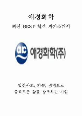 애경화학 최신 BEST 합격 자기소개서!!!!-1페이지