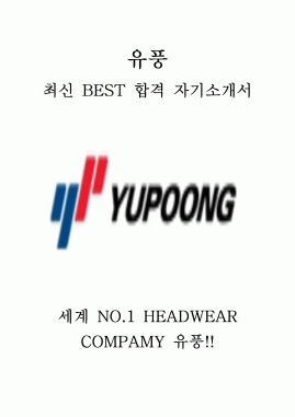 유풍 해외영업 최신 BEST 합격 자기소개서!!!!-1페이지