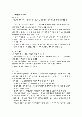 호흡기계질환 (폐쇄성 폐질환, 억제성 폐질환, 폐렴, 폐결핵(결핵), 폐농, 늑막염, 늑막삼출(흉막삼출), 기관지 천식, 기흉, 혈흉, 무기폐, 기관지 확장증, 호흡부전, 폐색전증, 폐고혈압, 폐암) -1페이지