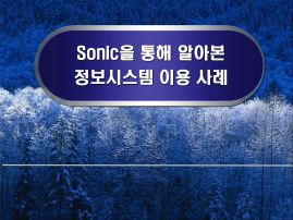 Sonic을 통해 알아본 정보시스템 이용 사례,정보시스템,정보시스템사례-1페이지