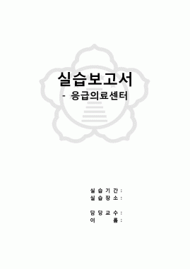 응급실보고서-1페이지