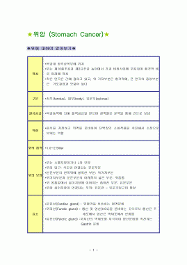 위암정리-1페이지