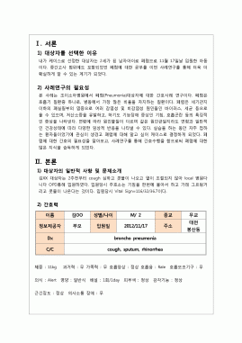 [아동간호학] 폐렴(broncho pneumonia), 천식(Asthma) case study-1페이지