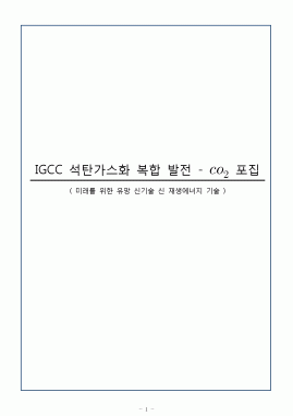 유망 신기술 신 재생에너지 기술 - IGCC(Integrated Gasification Combined Cycle) 석탄가스화 복합 발전 보고서 (IGCC 필요성, IGCC기술 동향, CCS기술 동향, IGCC 특허출원 현황, 주요 특허, 주요기술 대비)-1페이지