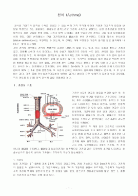 천식 - 기관지 구조부터 천식의 병태생리, 치료, 환경관리-1페이지