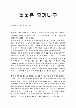 [성경말씀] [설교말씀본문-출애굽기 3장 1-8절] 불붙은 떨기나무-1페이지