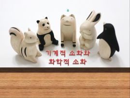 기계적소화 화학적소화-1페이지