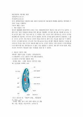 일반생물학 실험 동물세포와 식물세포 관찰 A+ 자료-1페이지