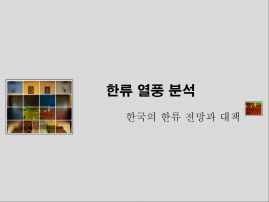한류(韓流) 열풍 분석 - 한국의 한류 전망과 대책.pptx-1페이지