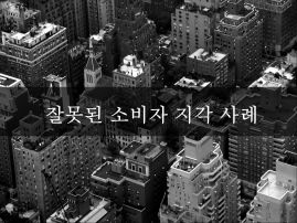 잘못된 소비자 지각 사례-1페이지