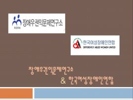 [NGO기관] NGO기관 장애우권익문제연구소, 한국여성장애인연합 소개, 활동내용 사업분석, 기관분석, 각 기관 비교 분석 등-1페이지