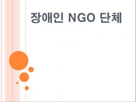 [NGO 단체 분석] 장애인권익문제연구소 & 장애인 이동권 연대.PPT자료-1페이지