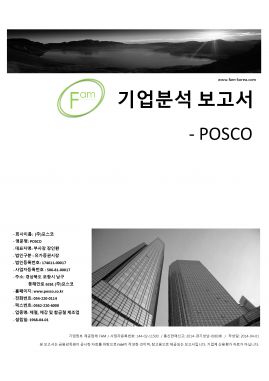 POSCO기업분석/POSCO재무분석(1994~2013)-1페이지