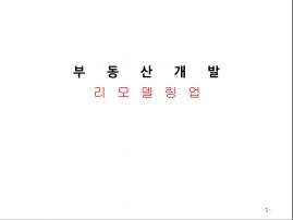 부동산 개발 - 리모델링업-1페이지