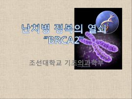 난치병 정복의 열쇠, BRCA2-1페이지