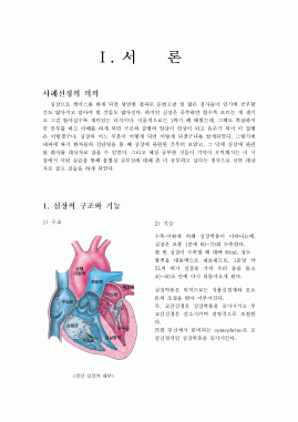 심부전케이스-1페이지