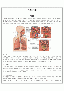 아동 폐렴(pneumonia) 케이스 스터디-1페이지