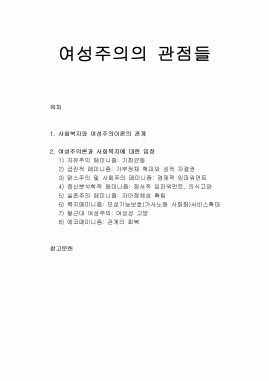 여성복지론 - 여성주의의 관점들(사회복지와 여성주의이론의 관계 및 여성주의론과 사회복지에 대한 입장)-1페이지