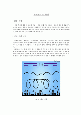 유체역학 실험 - 레이놀즈 수 측정-1페이지