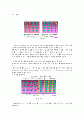 반도체 - PN접합의 정의와 이용분야-1페이지