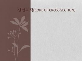 [응용역학 실험] 단면의 핵(Core of Cross Section).pptx-1페이지