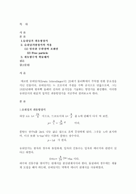 물리화학 - 에르빈 슈뢰딩거(Erwin Schrodinger) 파동 방정식 유도과정-1페이지