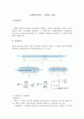 고체역학실험 - 비틀림 실험-1페이지