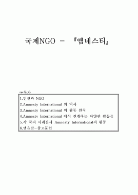 [국제 NGO 분석 - 앰네스티 ] 개념, 역할과 기능, NGO(시민단체)주요사업, NGO(시민단체)앰네스티  업무, NGO(시민단체) 앰네스티  결론-1페이지