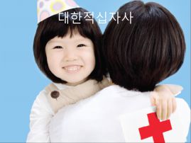 [사회과학] [NGO-대한적십자사] 개념, 역할과 기능, NGO 대한적십자사 주요사업, NGO 대한적십자사 업무, NGO 대한적십자사 결론-1페이지