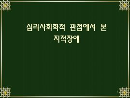 [사범/법학] 심리사회적 관점에서 본 지적장애-1페이지