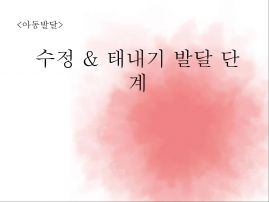 [아동발달] 수정 & 태내기 발달 단계 -수정의 방법, 착상의 방법, 태내기 개념, 발달 단계(발아기, 배아기, 태아기), 태내 연령에 따른 태내 발달.ppt-1페이지