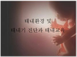 [태내기] 태내 환경 및 태내기 진단(유전상담, 초음파, 융모, 양수검사등), 태내기 교육(전통, 현대적), 태내기에 대한 견해.PPT자료-1페이지