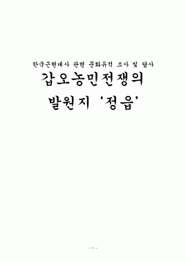 갑오농민전쟁의 발원지 정읍-1페이지