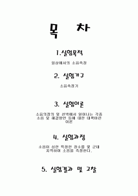 소음측정 -1페이지