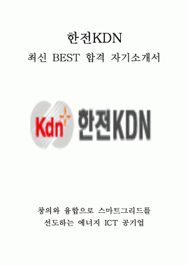 한전KDN 최신 BEST 합격 자기소개서!!!!-1페이지