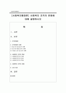 [사회복지행정론] 사회복지 조직의 문화에 대해 설명하시오-1페이지