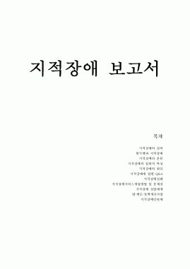 지적장애 보고서,지적장애읜원인및분류,장애인인권문제,미국지적장애학회(AAMR)-1페이지