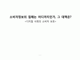 [추천레포트]소비자정보 침해의 현황과 심각성 및 외국의 소비자정보 보호사례를 통해 살펴 본 소비자정보 보호방안-1페이지