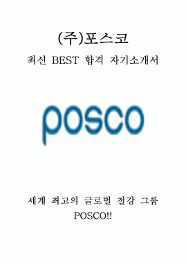 포스코 POSCO 군전역장교 최신 BEST 합격 자기소개서!!!!-1페이지