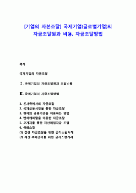 [기업의 자본조달] 국제기업(글로벌기업)의 자금조달원과 비용, 자금조달방법-1페이지