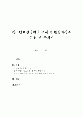 청소년육성정책의 역사적 변천과정과 현황 및 문제점 (청소년육성정책의 의의, 우리나라 청소년육성정책의 변천 과정, 현재 시행되고 있는 청소년정책의 특징 및 문제점)-1페이지