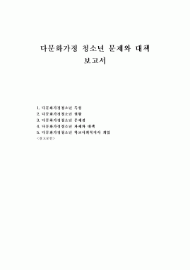 다문화가정청소년 특성, 현황, 문제점, 과제와 대책, 학교사회복지 개입 보고서-1페이지