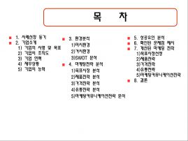 김치냉장고 딤채의 마케팅 성공전략 분석과 문제점 및 개선된 마케팅 전략 (SWOT, STP, 유통전략 모두 포함)-1페이지