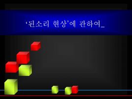 된소리 현상과 그 변천사 레포트-1페이지