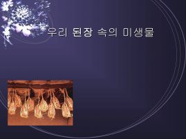 [우리 된장 속의 미생물] 된장 역사, 제조방법, 효능, 발효균, 된장에 대한 모든 것-1페이지